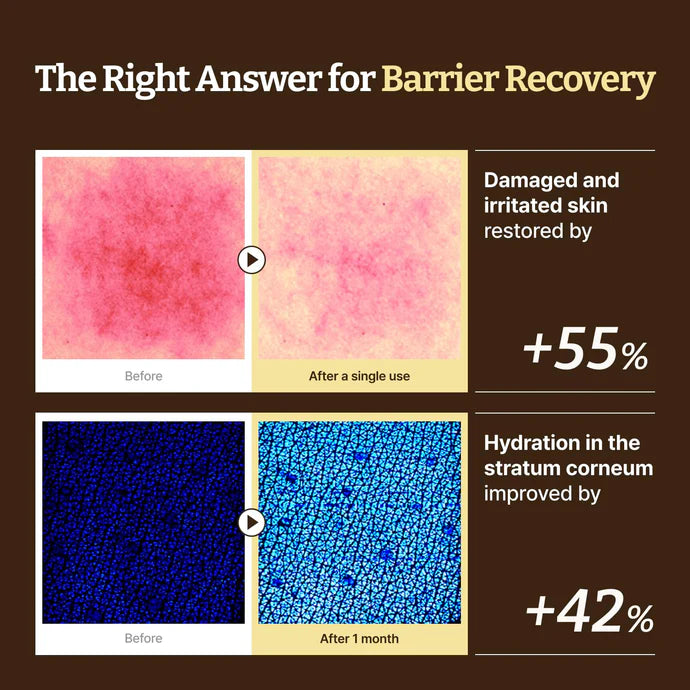 Dr.Reju-All Advanced LC-Ceramide Barrier Cream 50ml - Beautitu.com ...